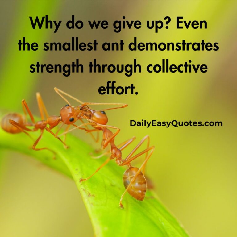 100 Heartfelt Animal Quotes That Inspire Love and Connection