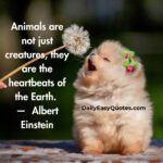100 Heartfelt Animal Quotes That Inspire Love and Connection