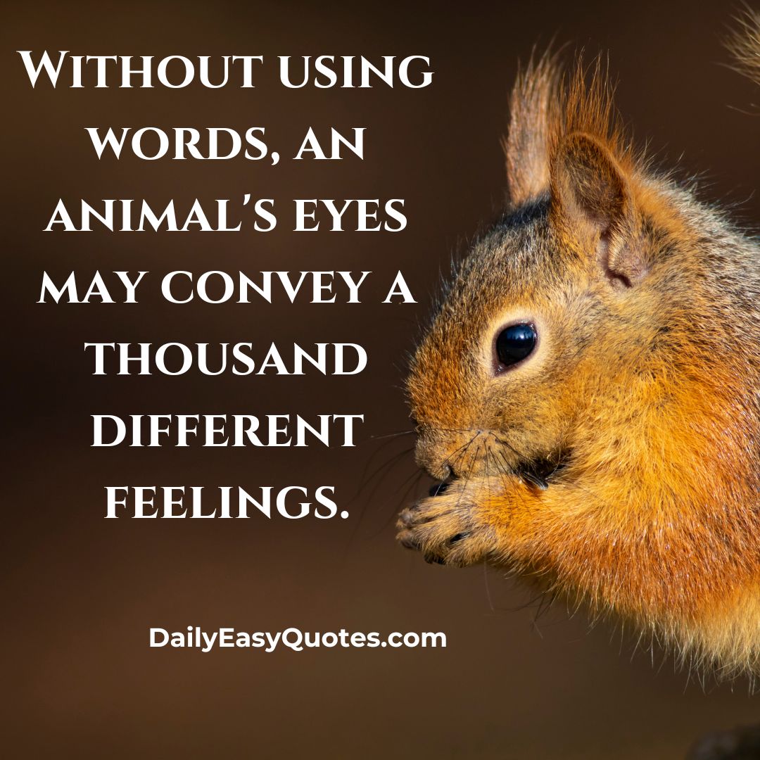 100 Heartfelt Animal Quotes That Inspire Love and Connection